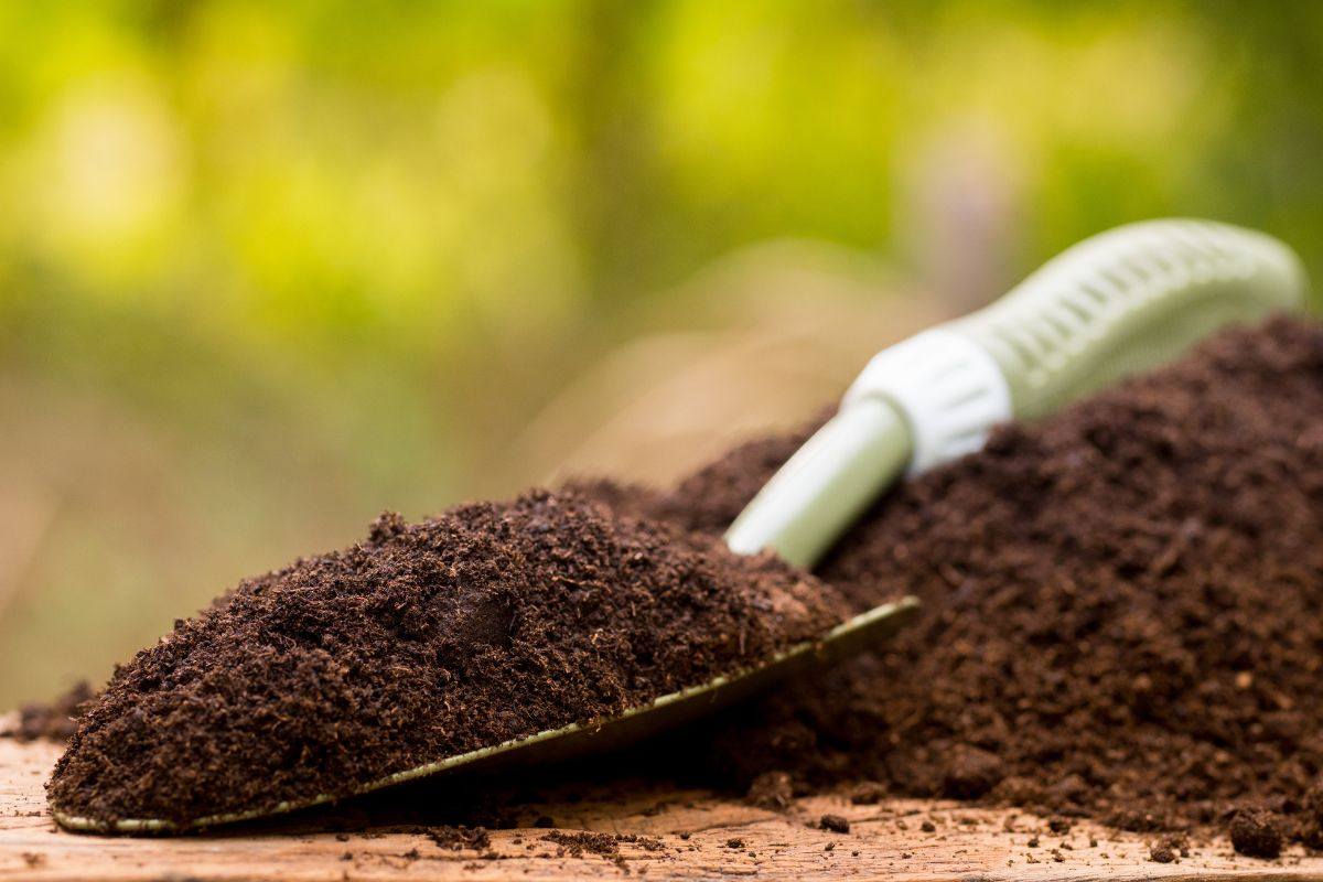 Letame per l’orto: ecco perché è il concime naturale perfetto