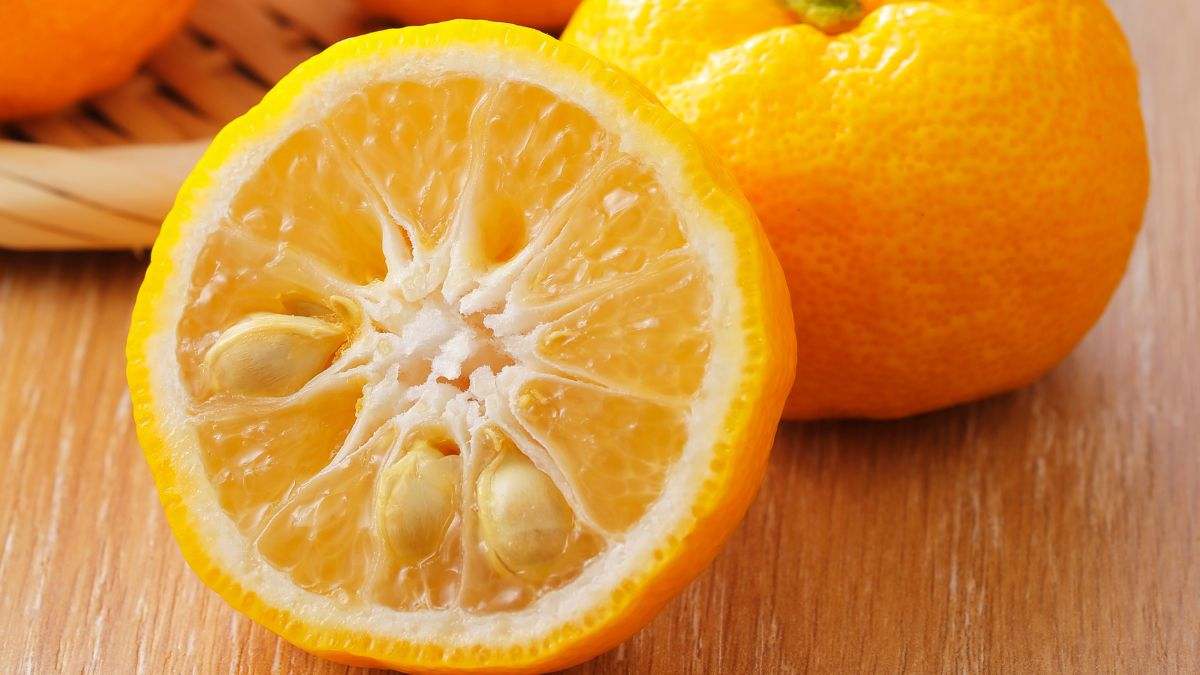 Sapevi che da un seme di mandarino puoi coltivare la tua pianta? Ecco ...